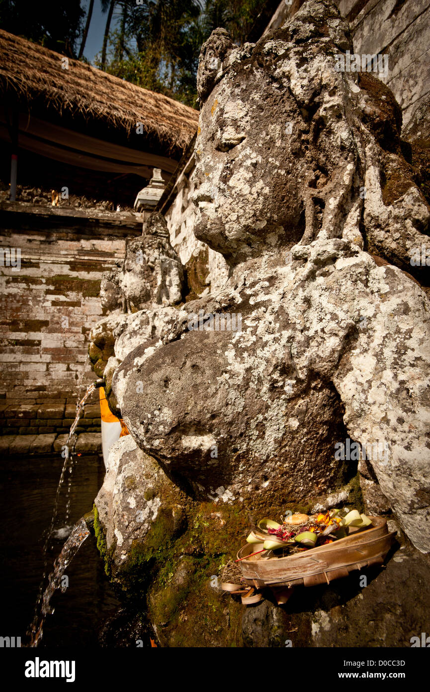 Gadja hi-res stock photography and images - Alamy