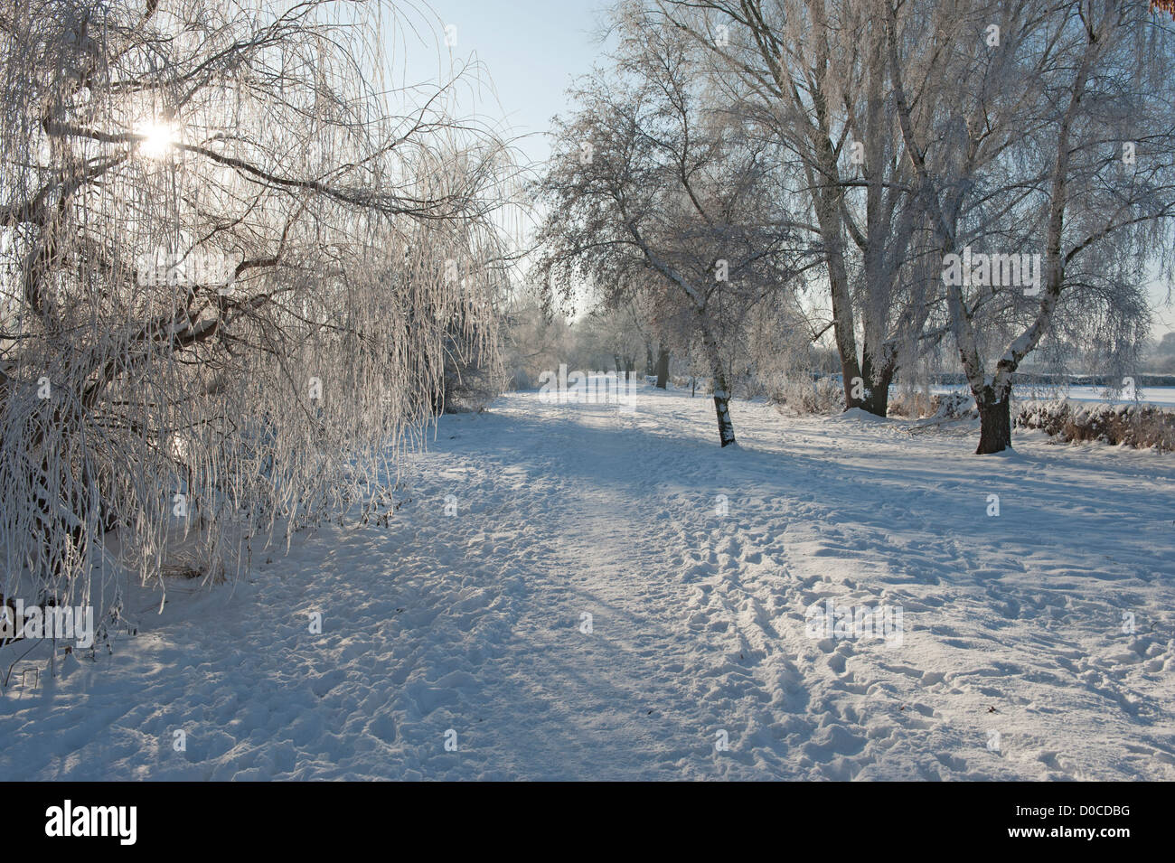 Frozen outdoors hi-res stock photography and images - Alamy