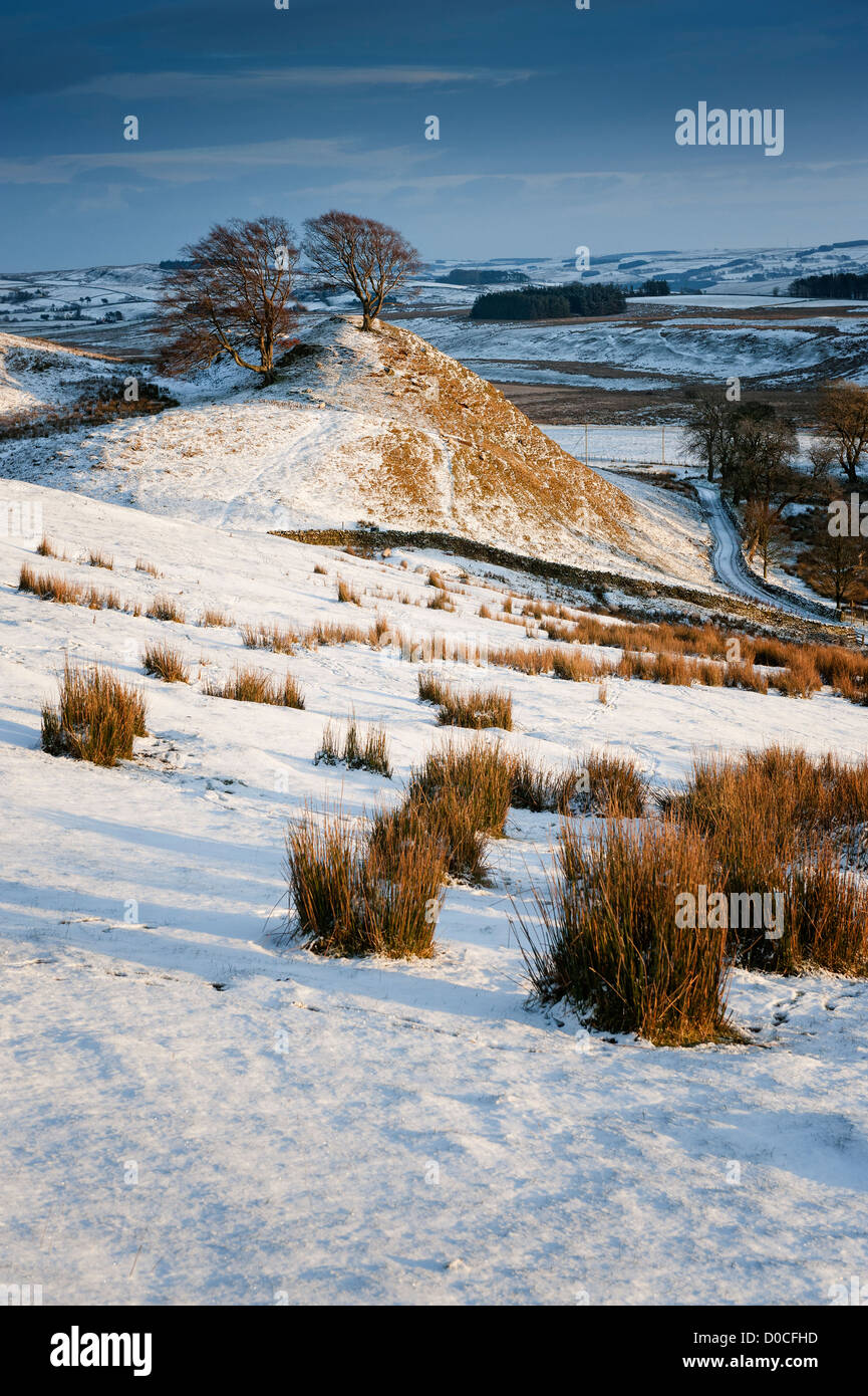 Lowtown Northumberland in Winter Stock Photo - Alamy