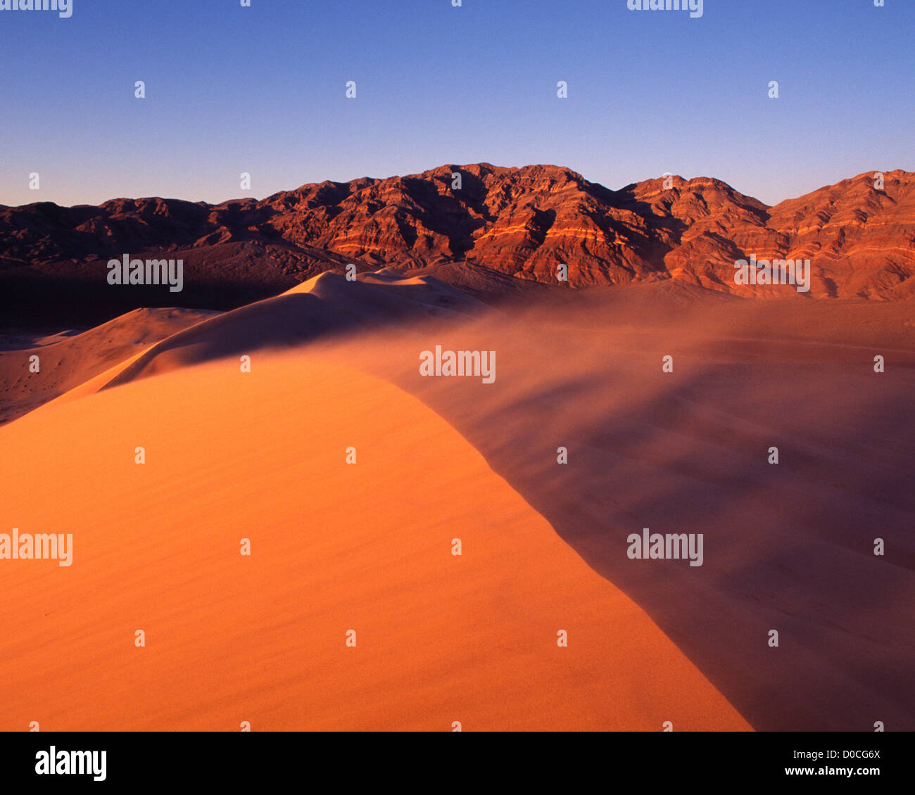 Wind Lifts a Banner of Sand Off the Crest of a Dune at Sunset Stock ...