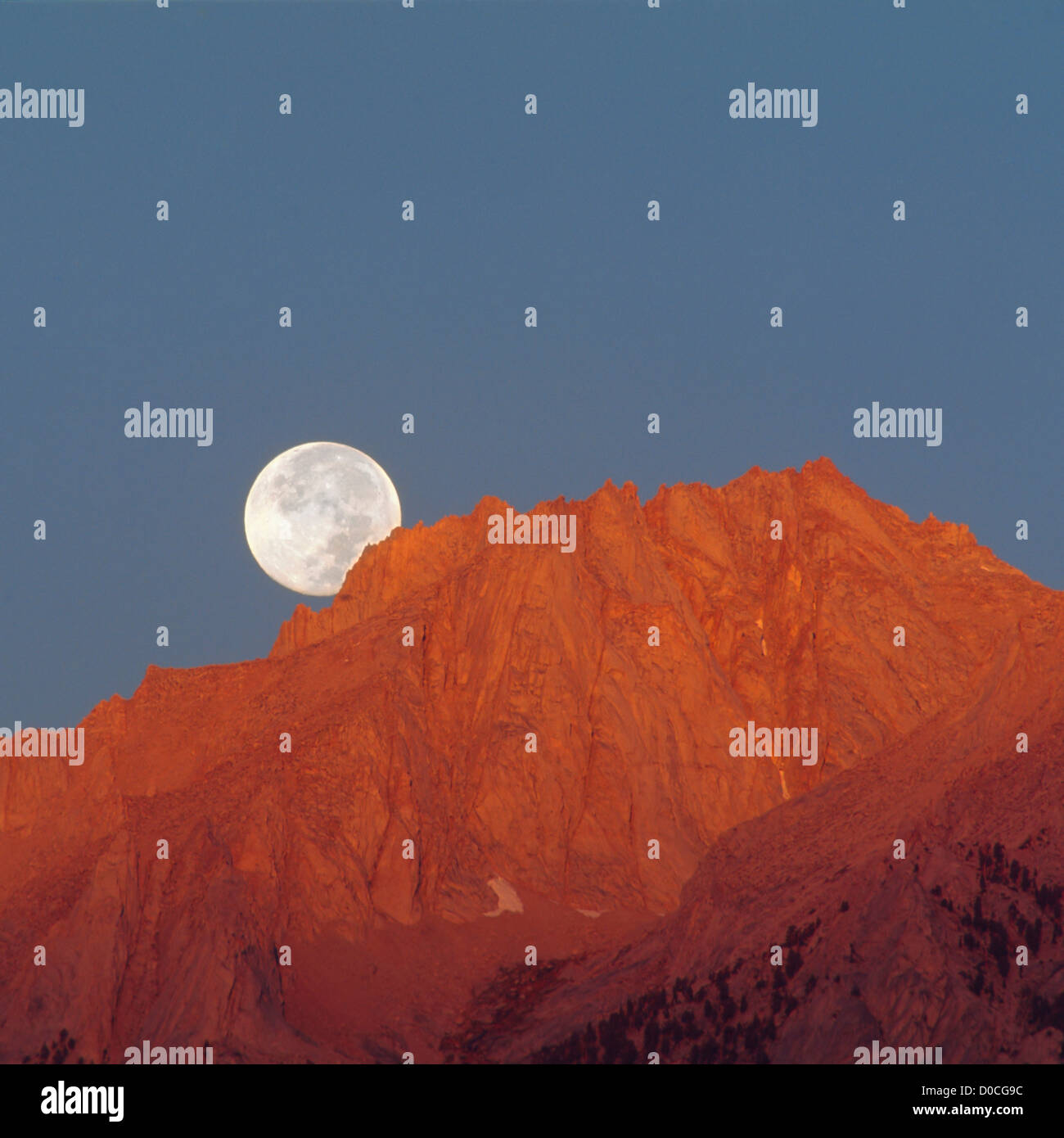 Full orange moon sets hi-res stock photography and images - Alamy