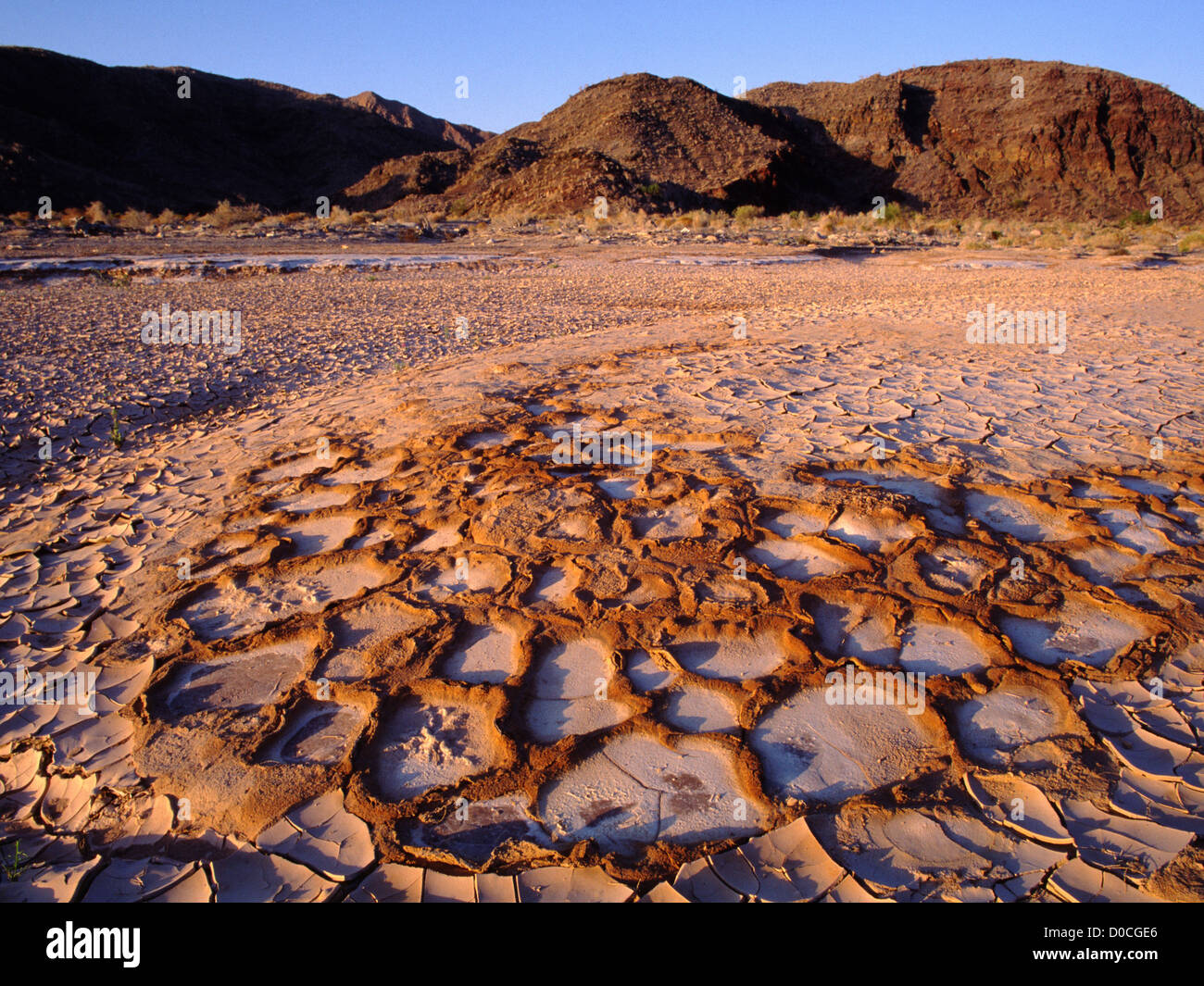 Death and desiccation hi-res stock photography and images - Alamy