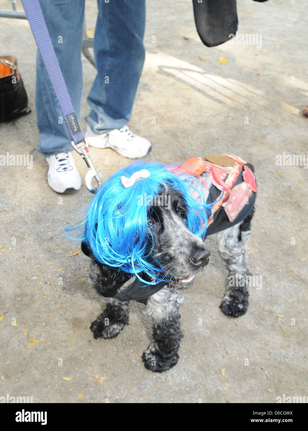 Atmosphere The 20th Annual Tompkins Square Park Halloween Dog Parade ...