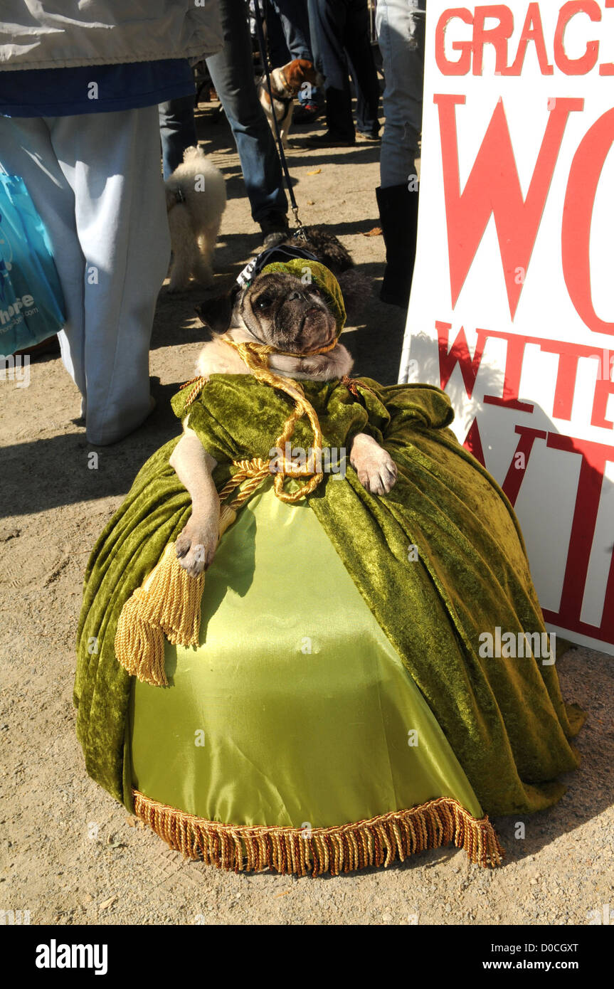 Atmosphere The 20th Annual Tompkins Square Park Halloween Dog Parade ...