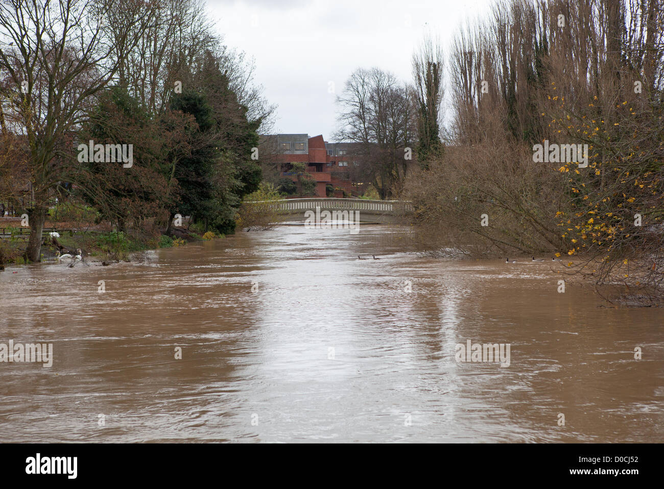 The swollen River Anker flowing through The Castle Grounds in Tamworth ...