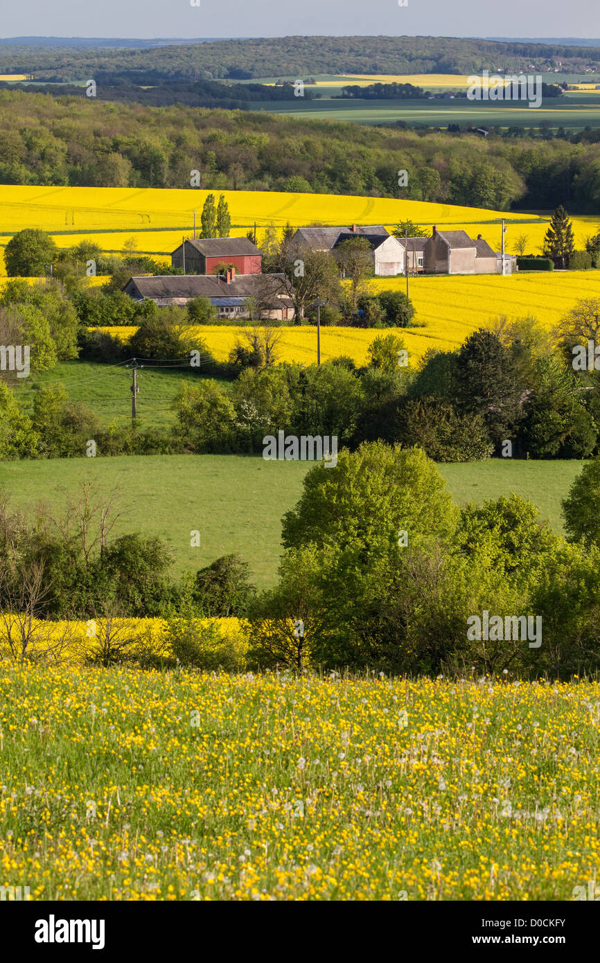 BOCAGES AND RAPE FIELDS AGRICULTURAL LANDSCAPE IN MONTIGNY CHER (18 ...