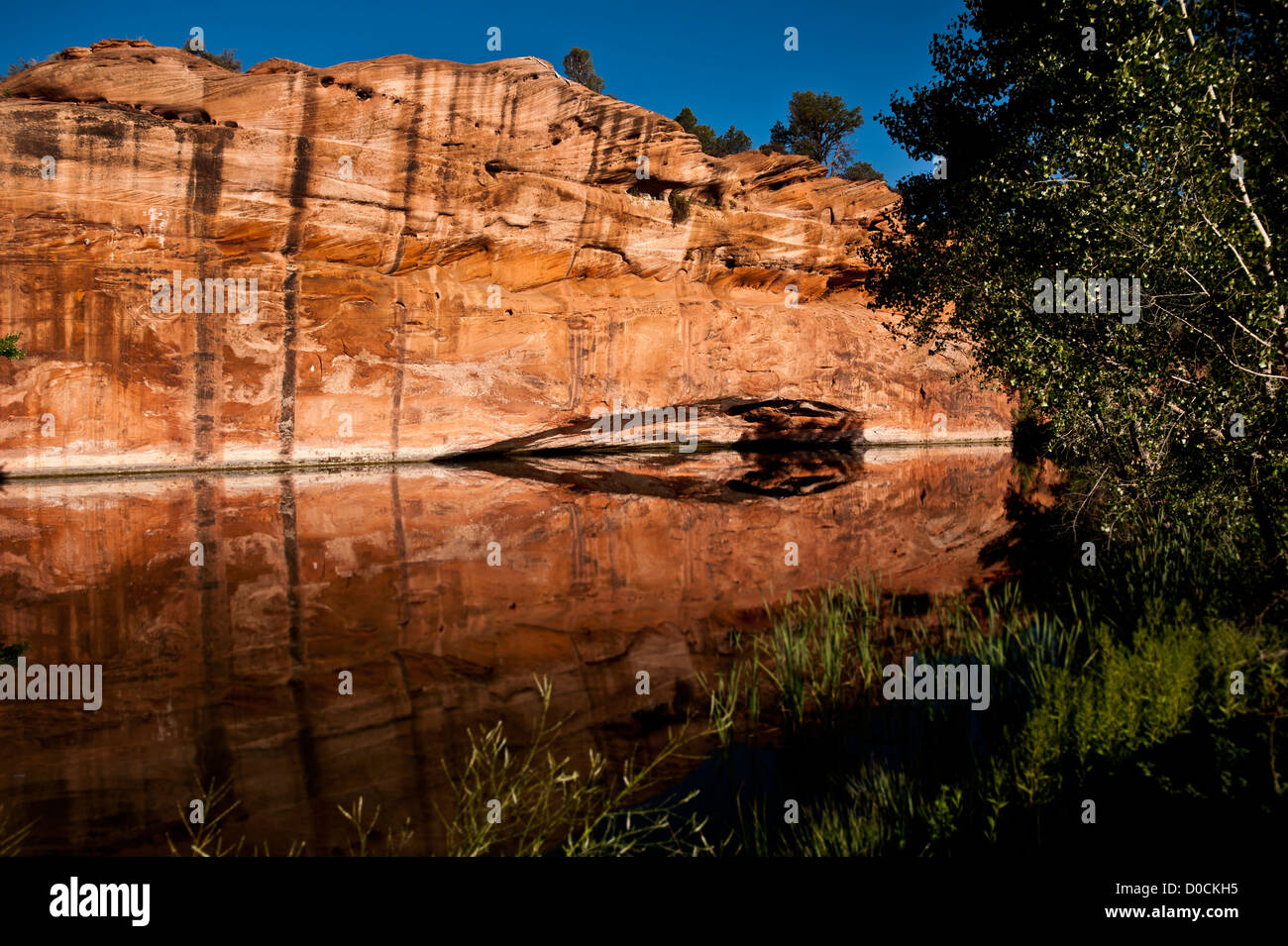 deep still water pond under a sandstone cliff with reflection of cliff ...