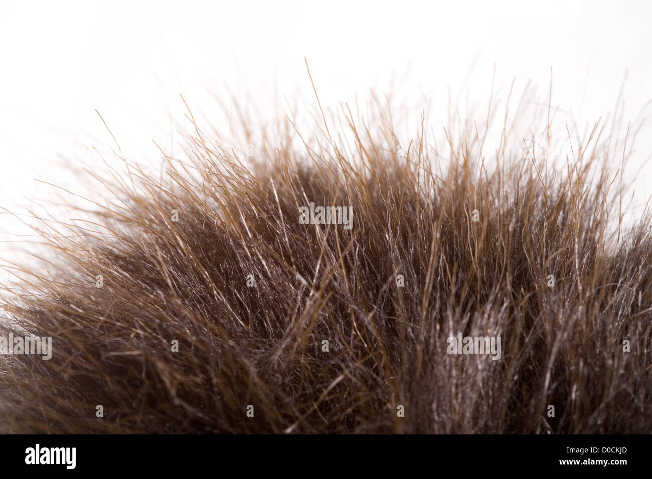 Bushy hair hi-res stock photography and images - Alamy
