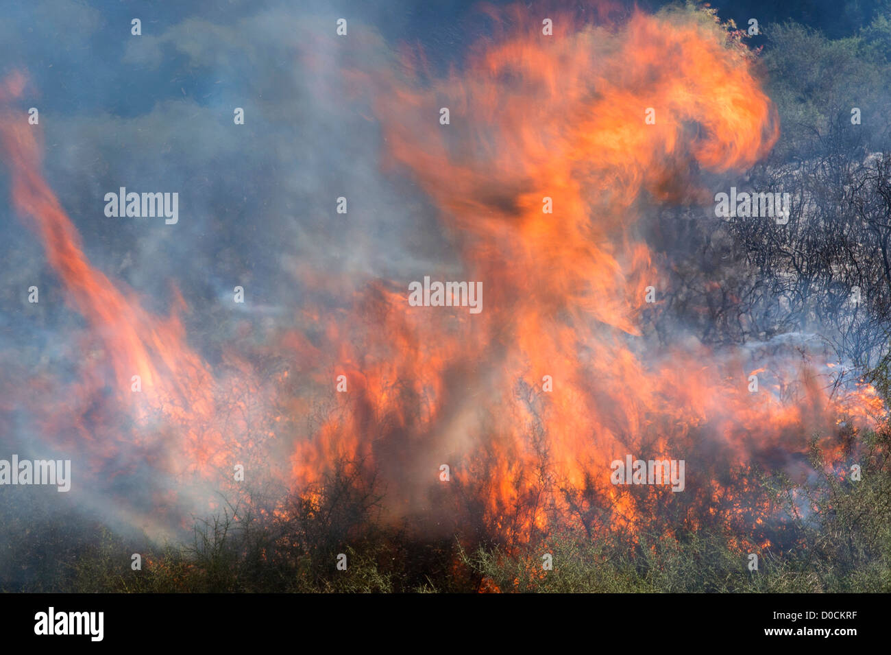 Fire raging out of control through the countryside near Theletra ...