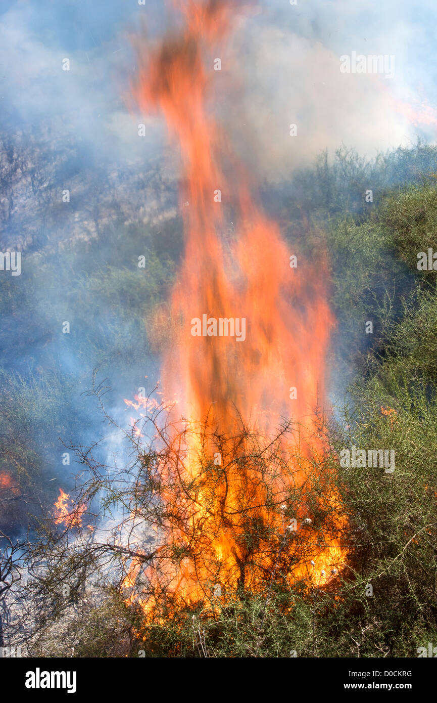 Fire raging out of control through the countryside near Theletra ...