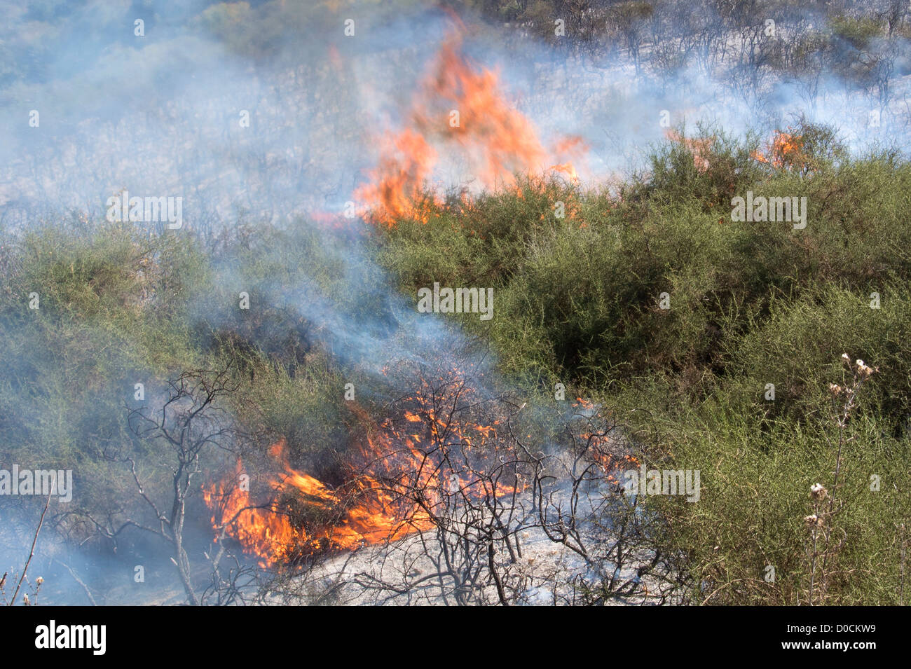 Fire raging out of control through the countryside near Theletra ...