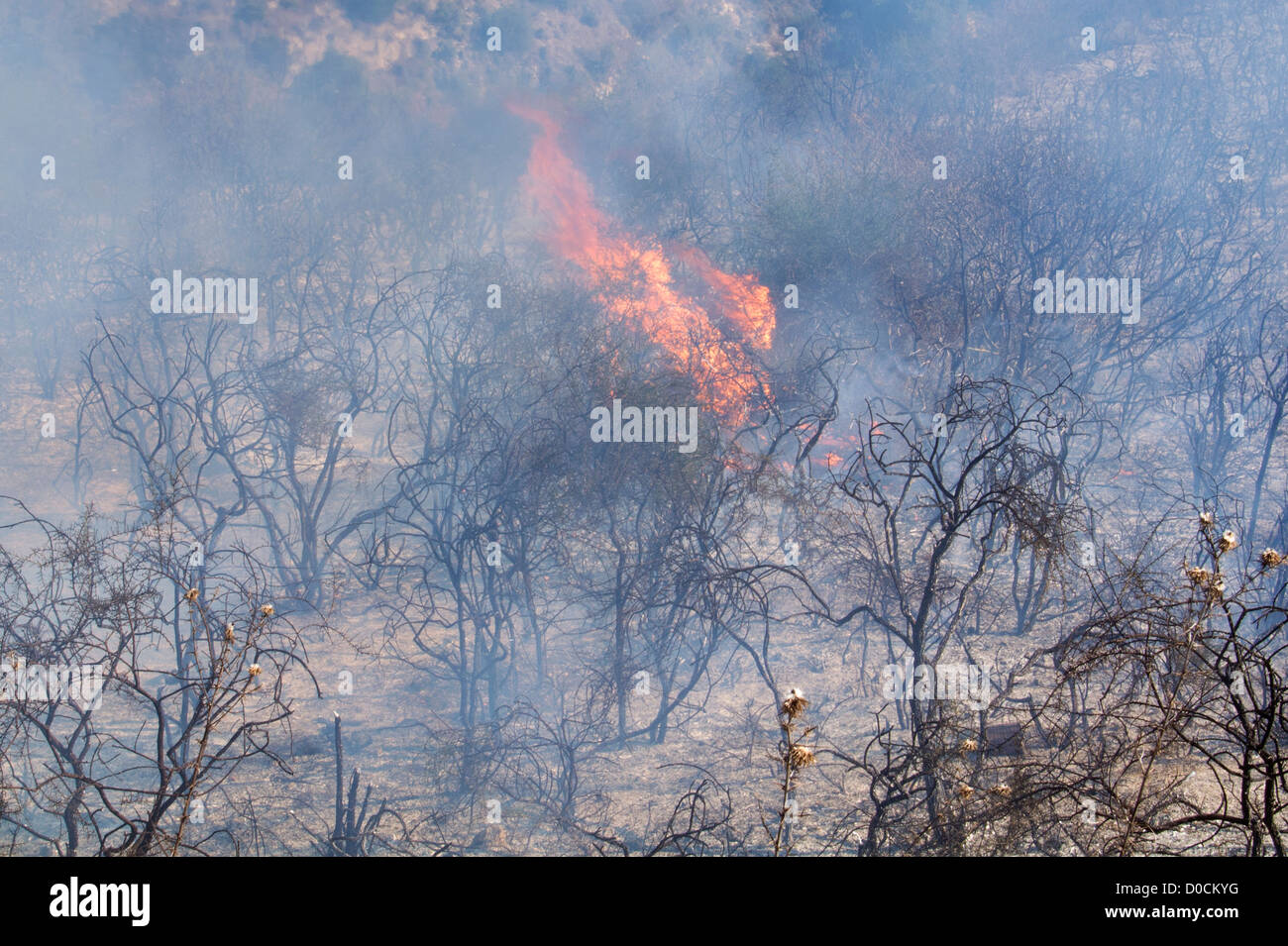 Fire raging out of control through the countryside near Theletra ...