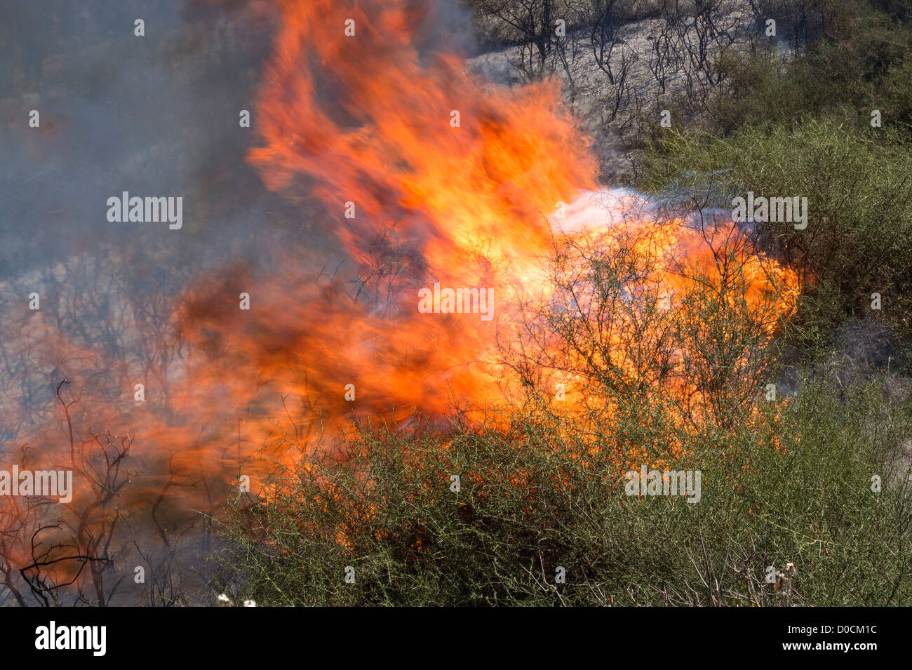 Fire raging out of control through the countryside near Theletra ...
