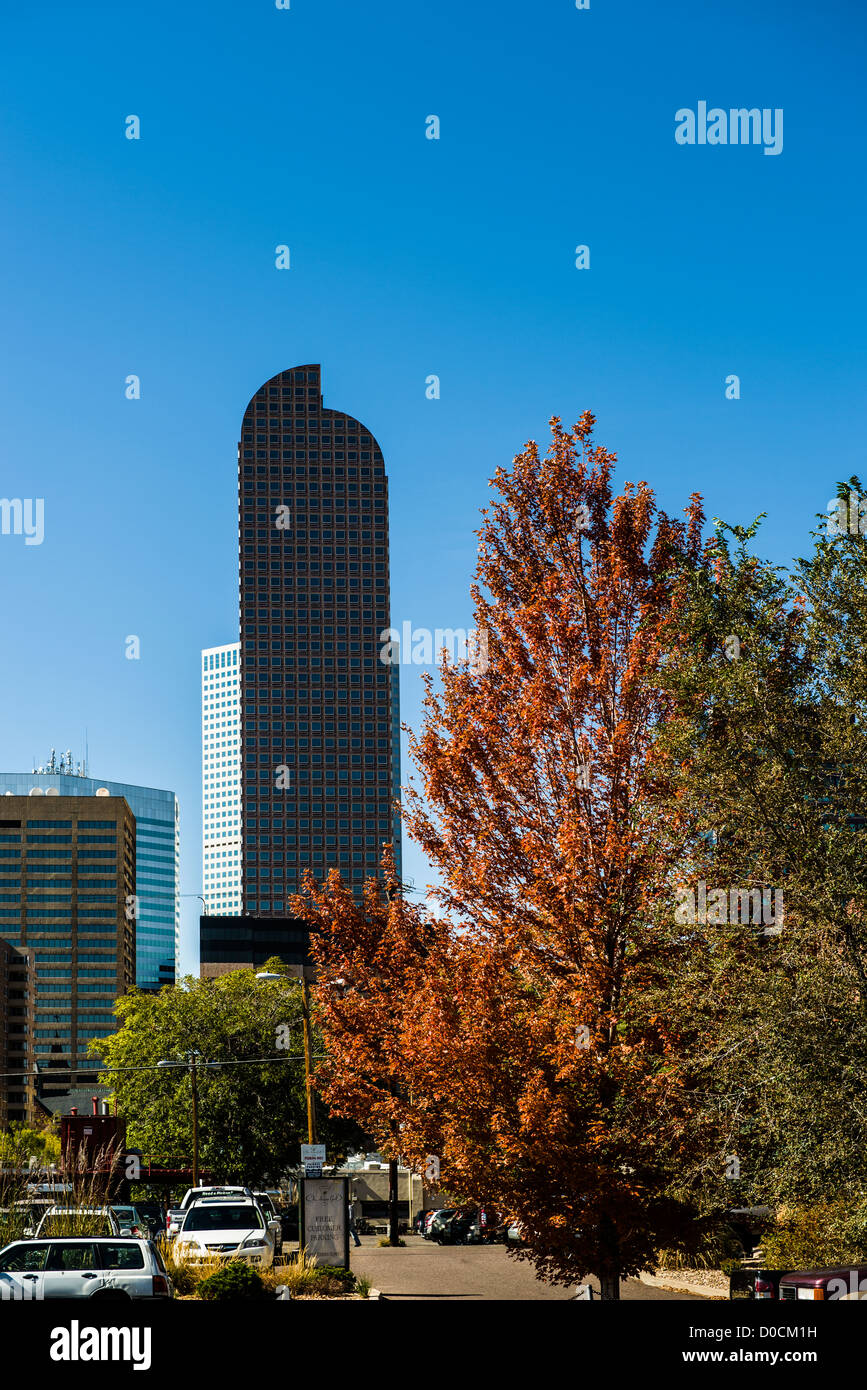 Office buildings in downtown Denver Colorado and tree with fall colors ...