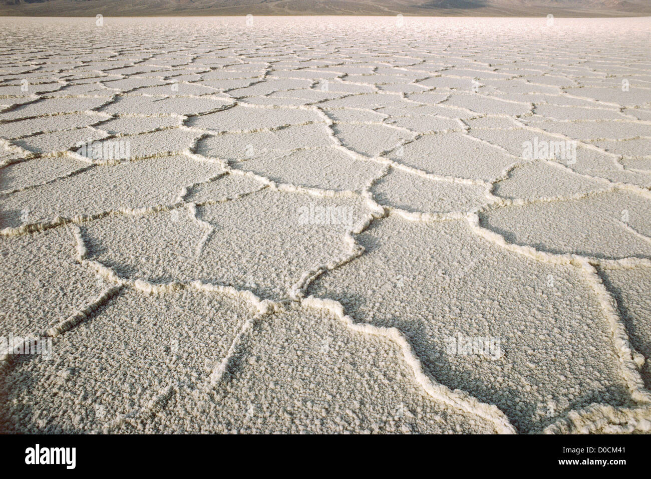 The Salt Forms Polygons on the Floor of Badwater Basin Stock Photo - Alamy