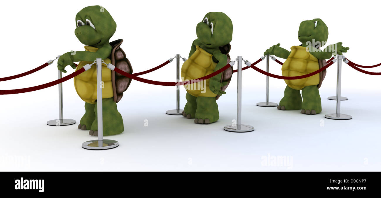 3D render of tortoises waiting in line Stock Photo - Alamy
