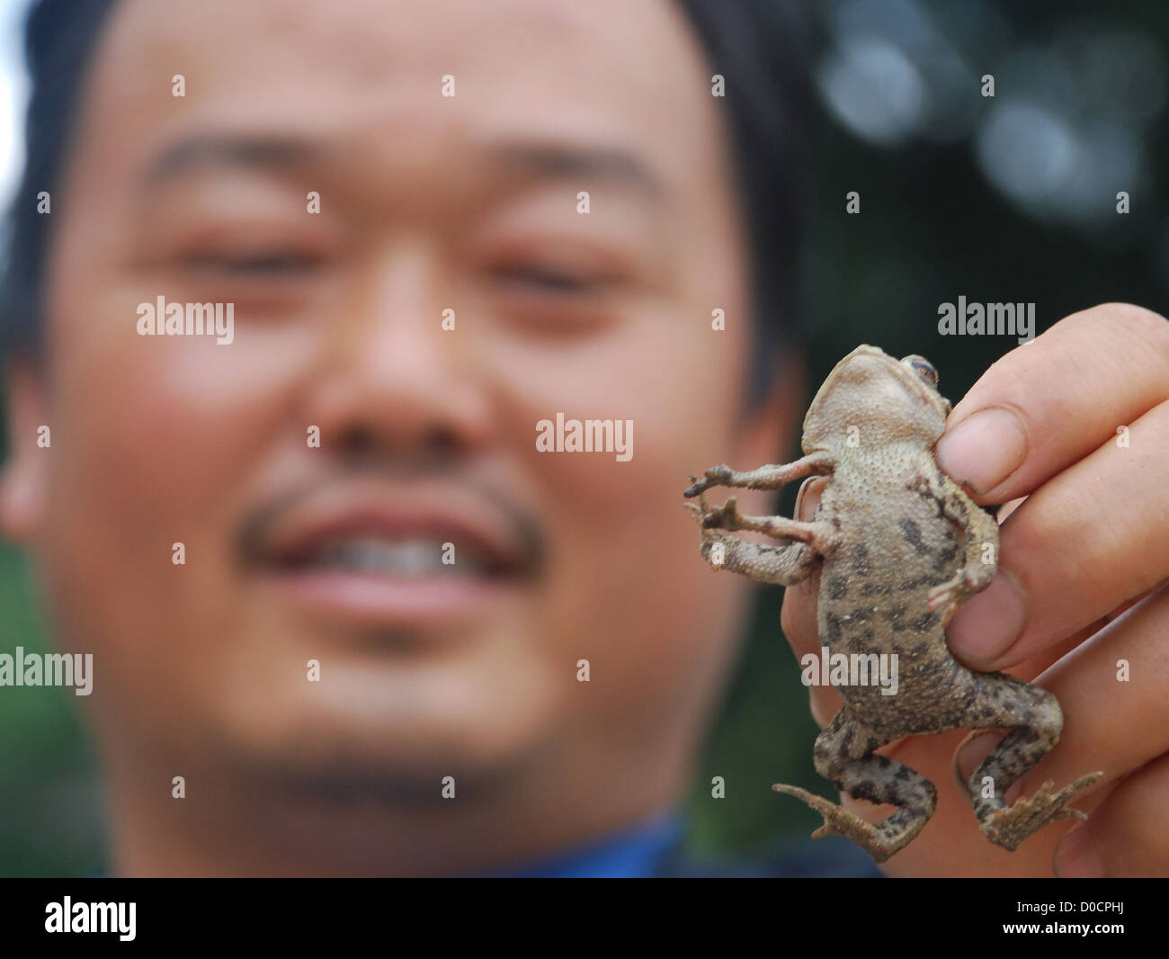 Six legged hi-res stock photography and images - Alamy