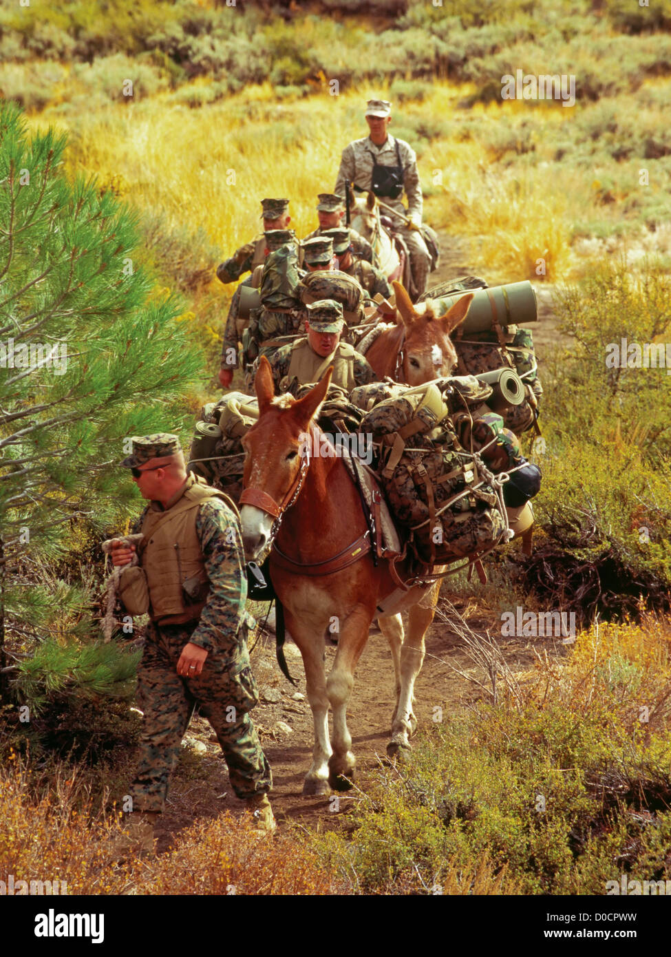 Third Marines High Resolution Stock Photography and Images - Alamy