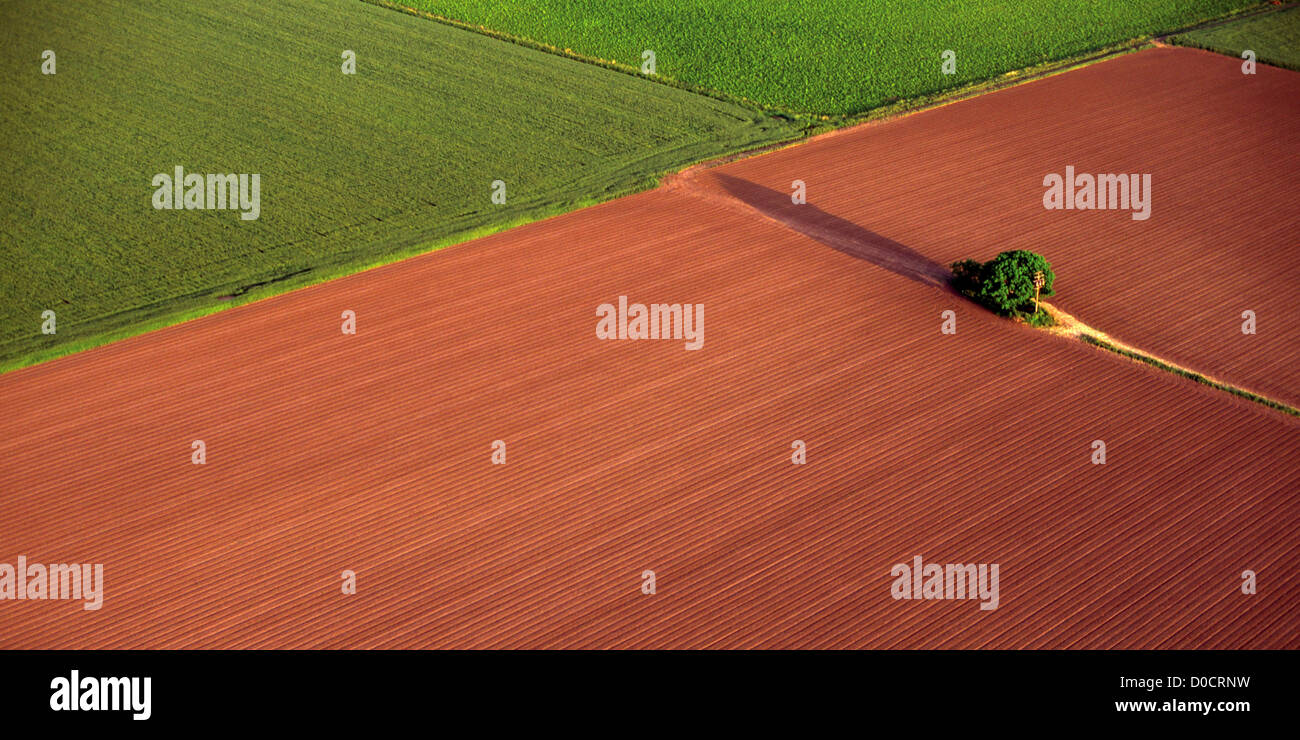 Aerial View of Agricultural Patchwork Stock Photo - Alamy