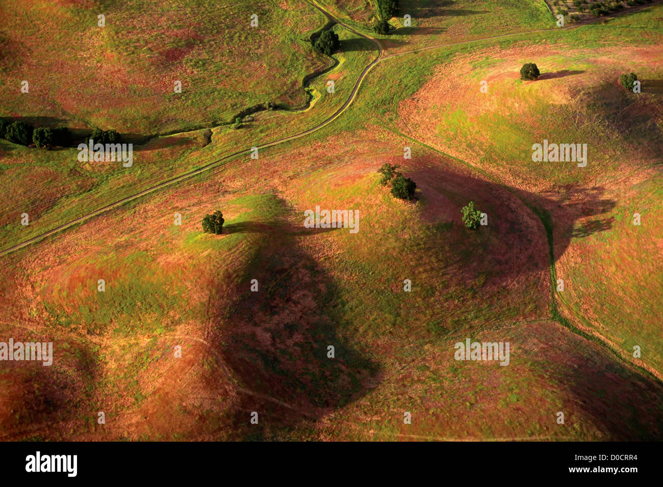 Three Trees Atop Three Hills, Viewed from Above Stock Photo - Alamy