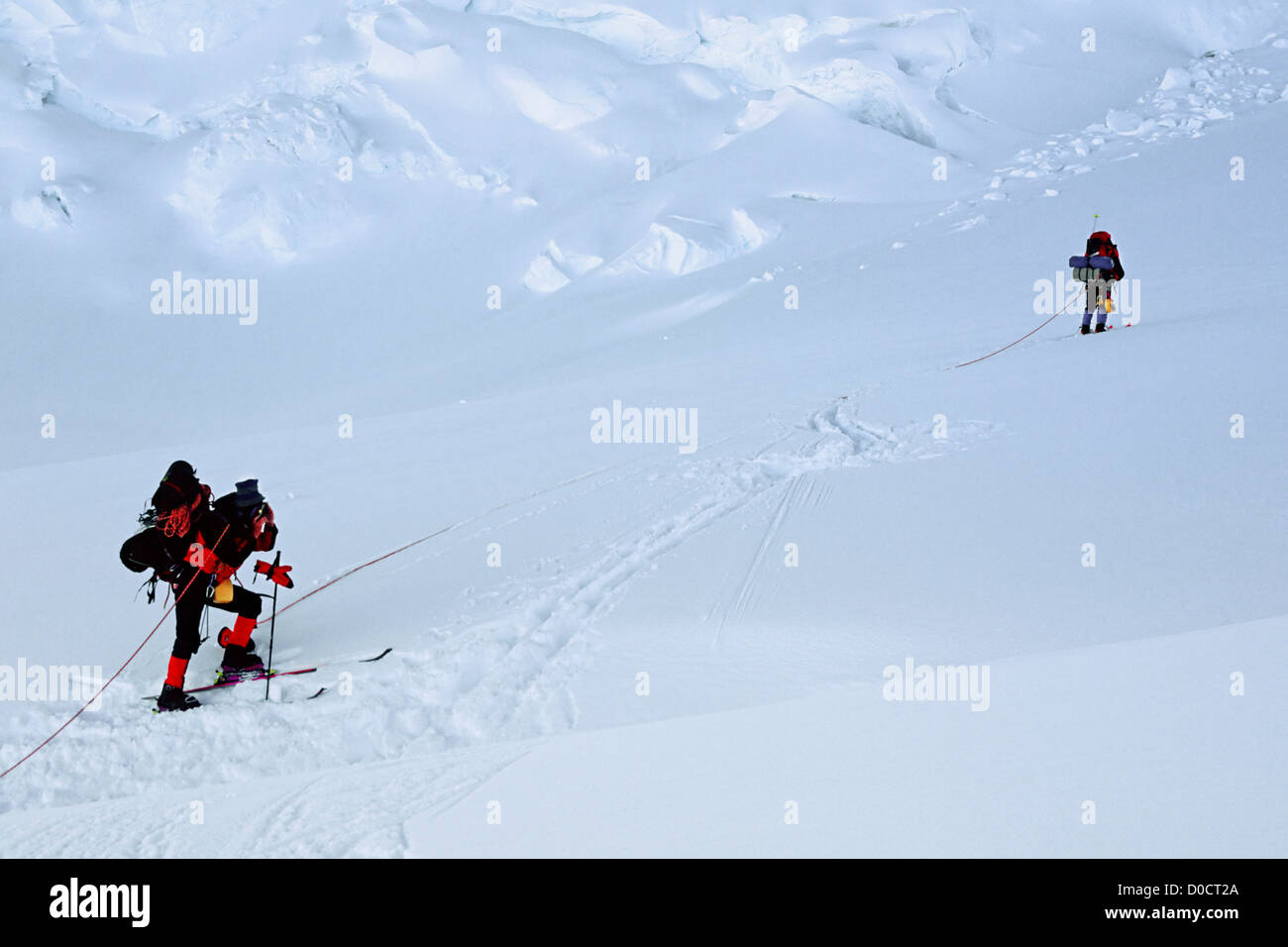 Two Climbers Ascend a Heavily Crevassed Slope on Canada's Mount Logan ...