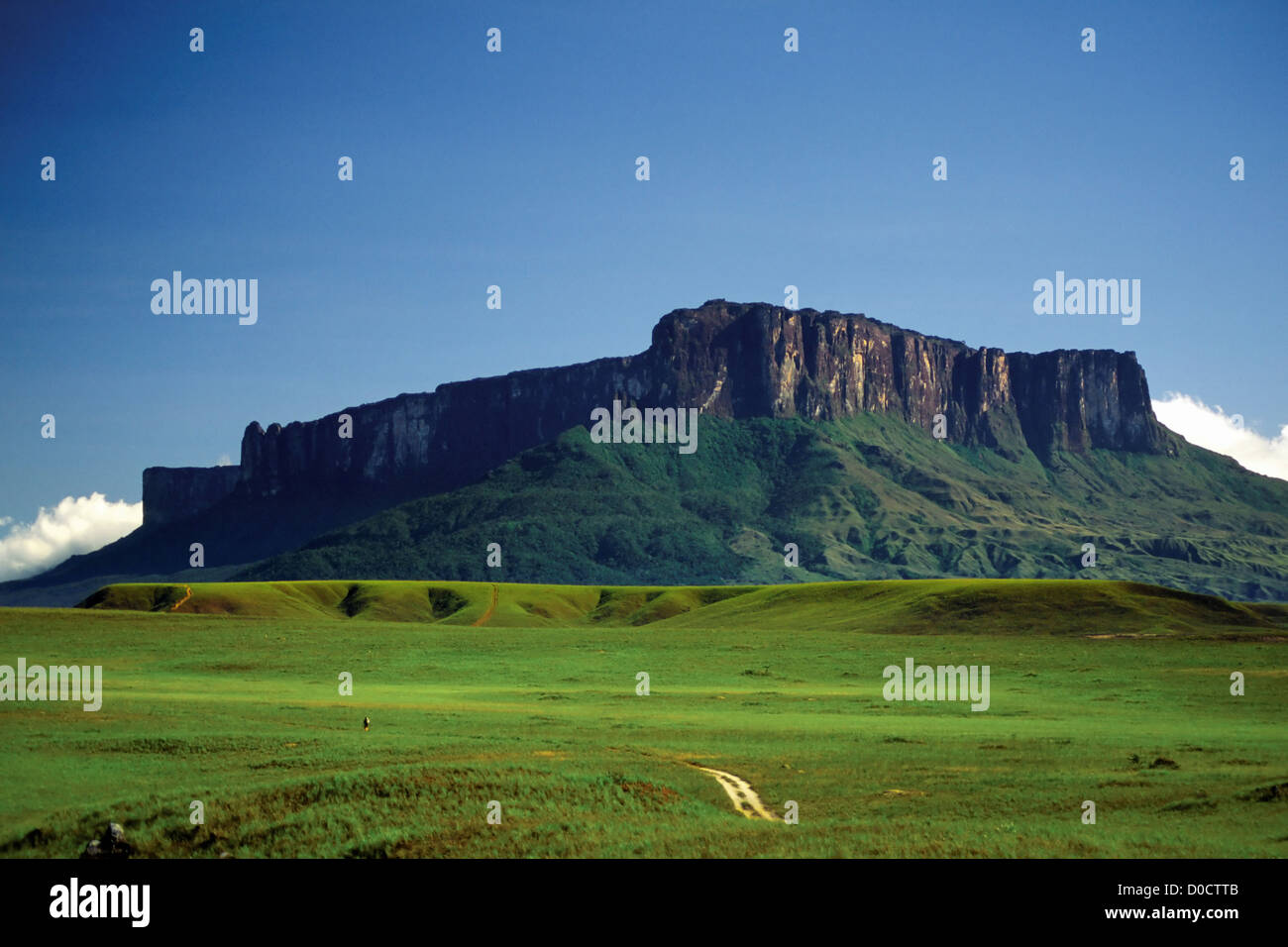 Kukenan river hi-res stock photography and images - Alamy