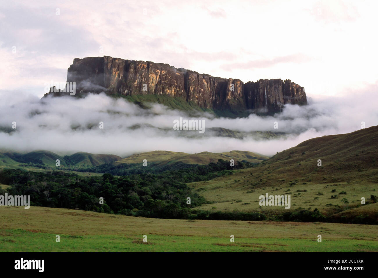 Kukenán tepui hi-res stock photography and images - Alamy