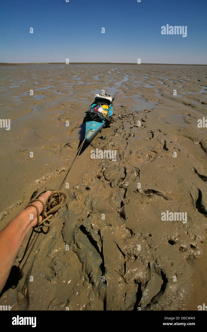 Towing an Expedition Kayak Across Colorado River Delta Mud Flats Stock ...