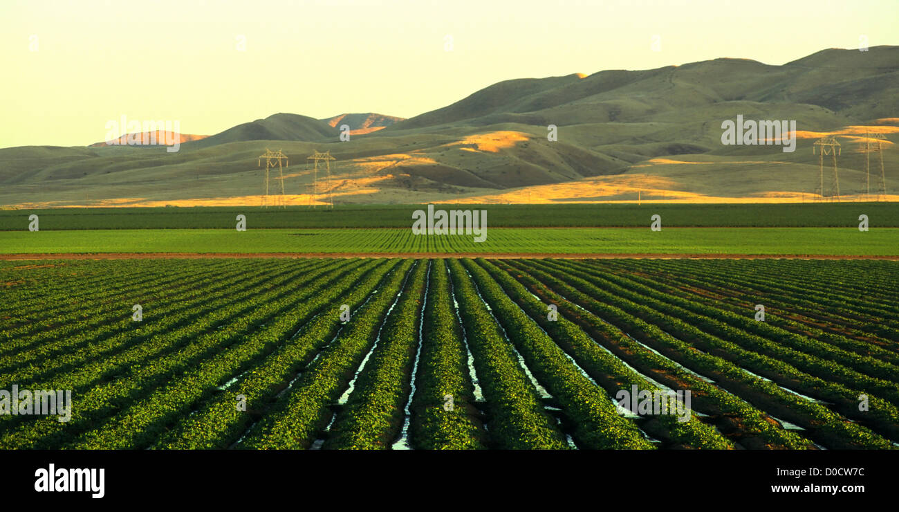 Californias great central valley hi-res stock photography and images ...