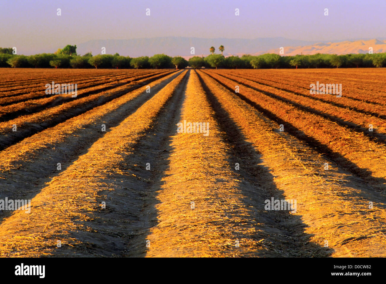 Isosc hi-res stock photography and images - Alamy