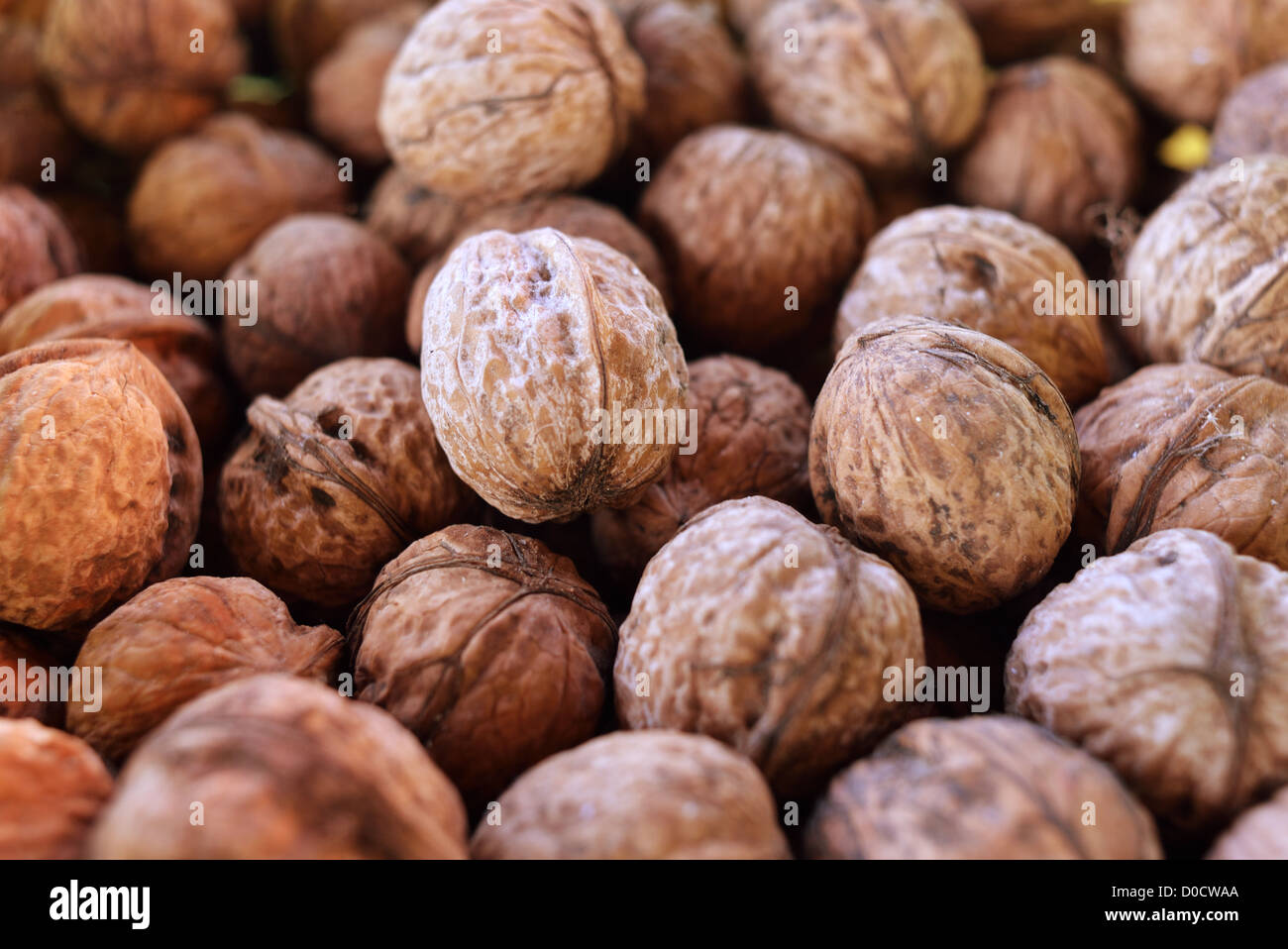 Close up image of scattered pile of walnuts. Agriculture background ...