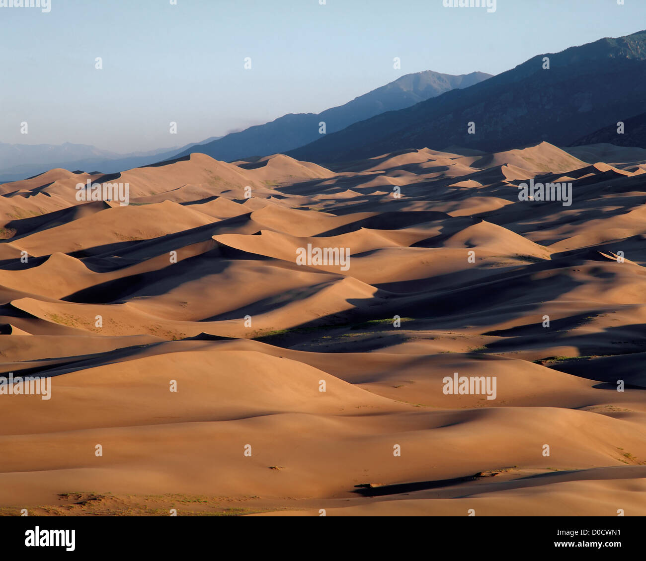In the Heart of Colorado's Great Sand Dunes Stock Photo - Alamy