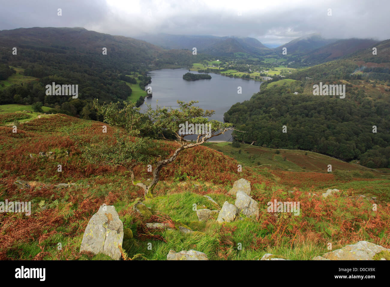 Landscape view over Grasmere water from Loughrigg Terraces, Lake ...