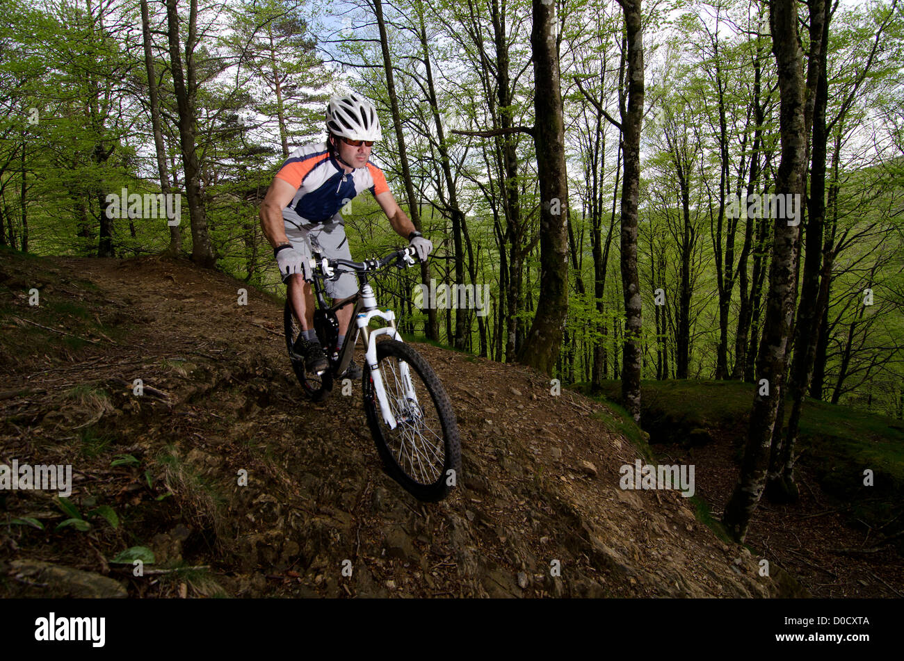 Rider in action at Freestyle Mountain Bike Session Stock Photo - Alamy