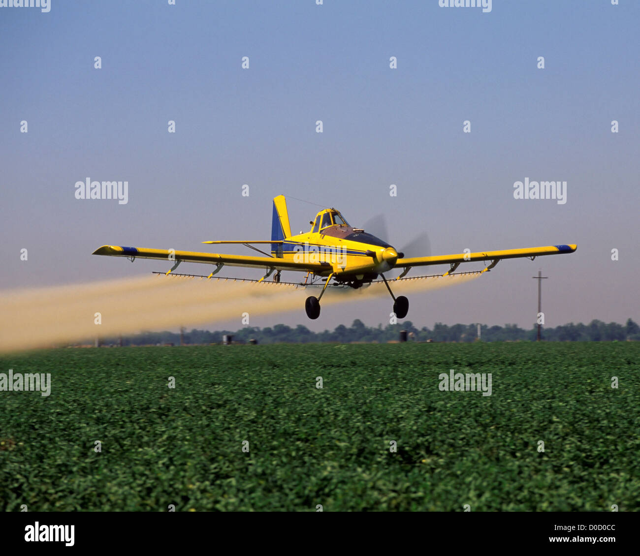 Crop Duster Zooms Over a Field Stock Photo - Alamy