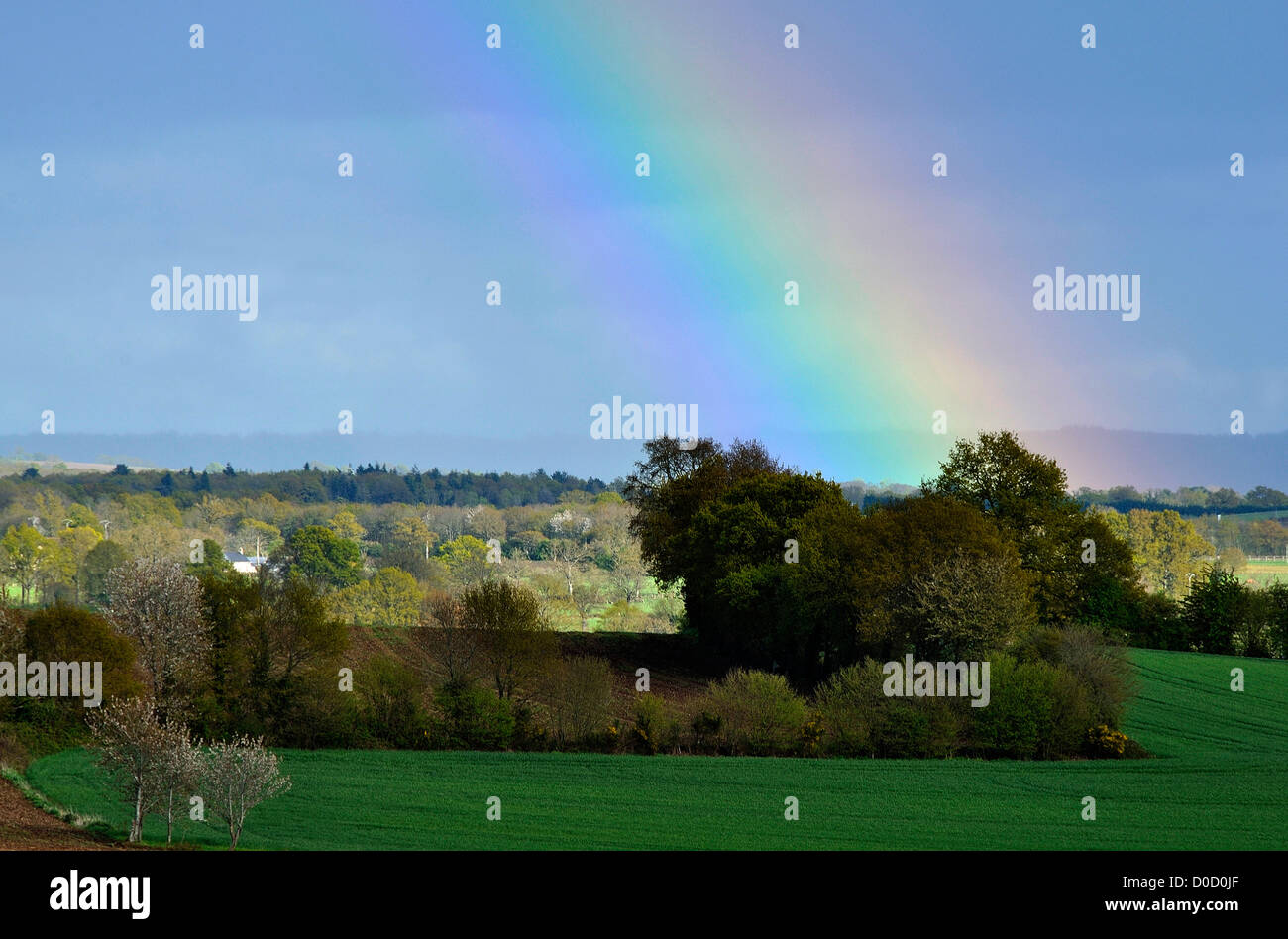 Bocage landscape hi-res stock photography and images - Alamy