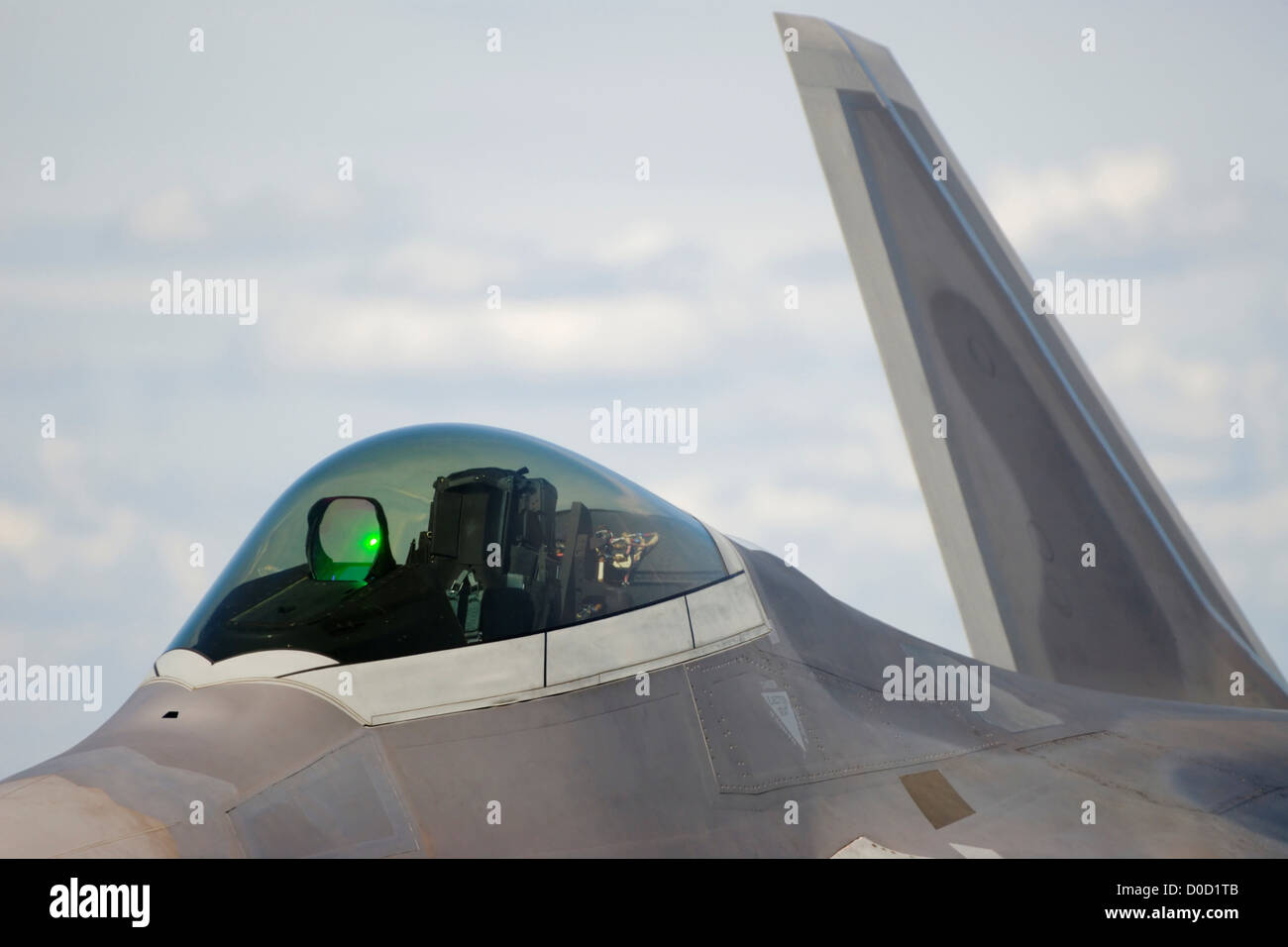 Raptor hi-res stock photography and images - Alamy