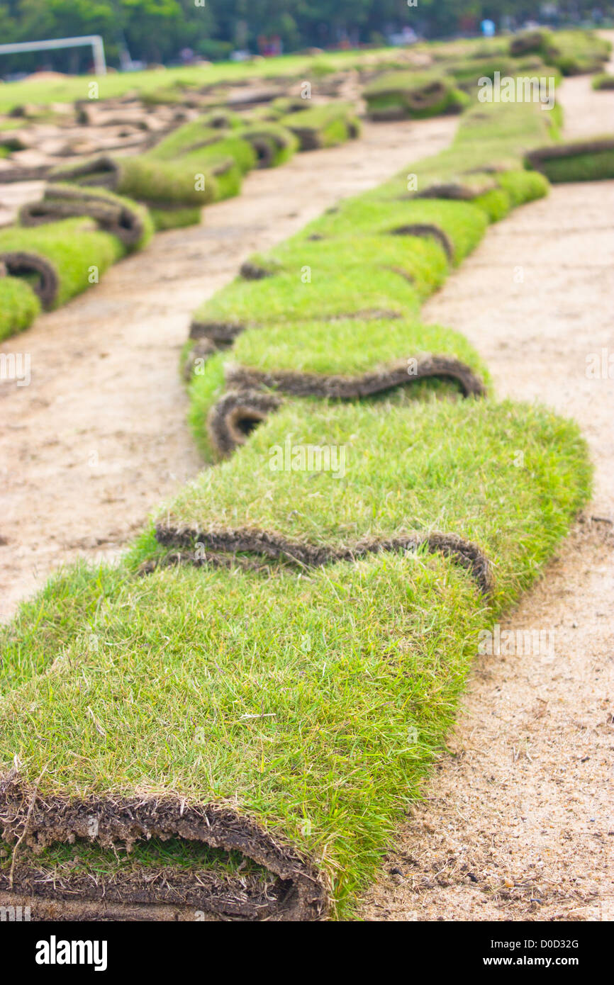 Rolls of green grass, laying in progress Stock Photo - Alamy
