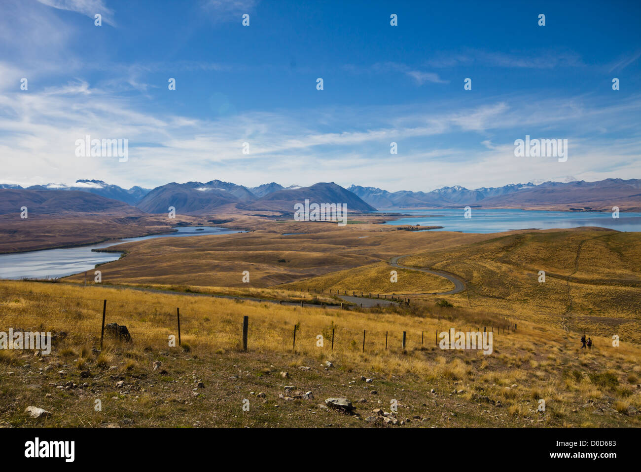 Tekapo, New Zealand Stock Photo - Alamy