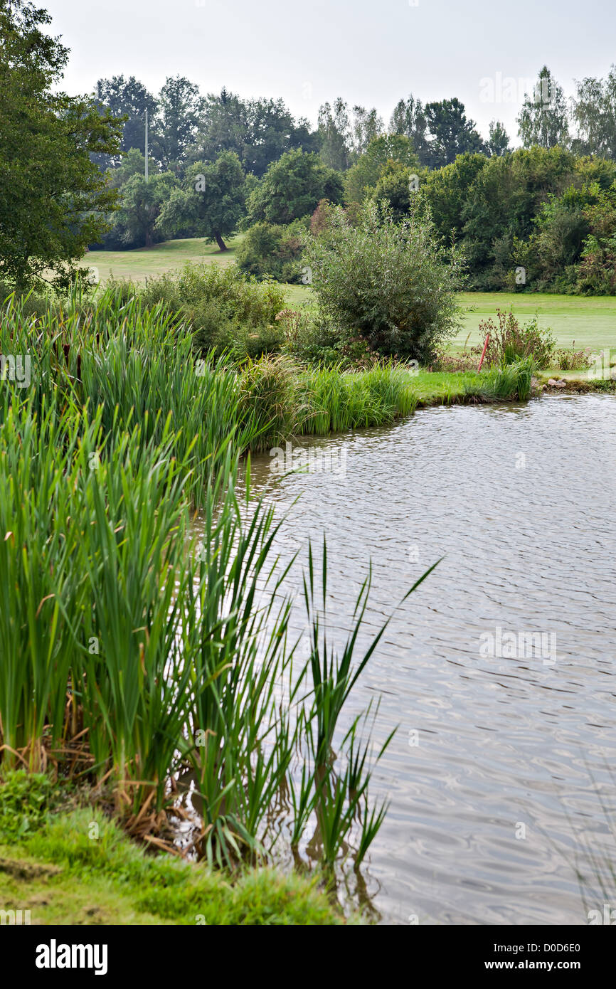 Golf pond hi-res stock photography and images - Alamy