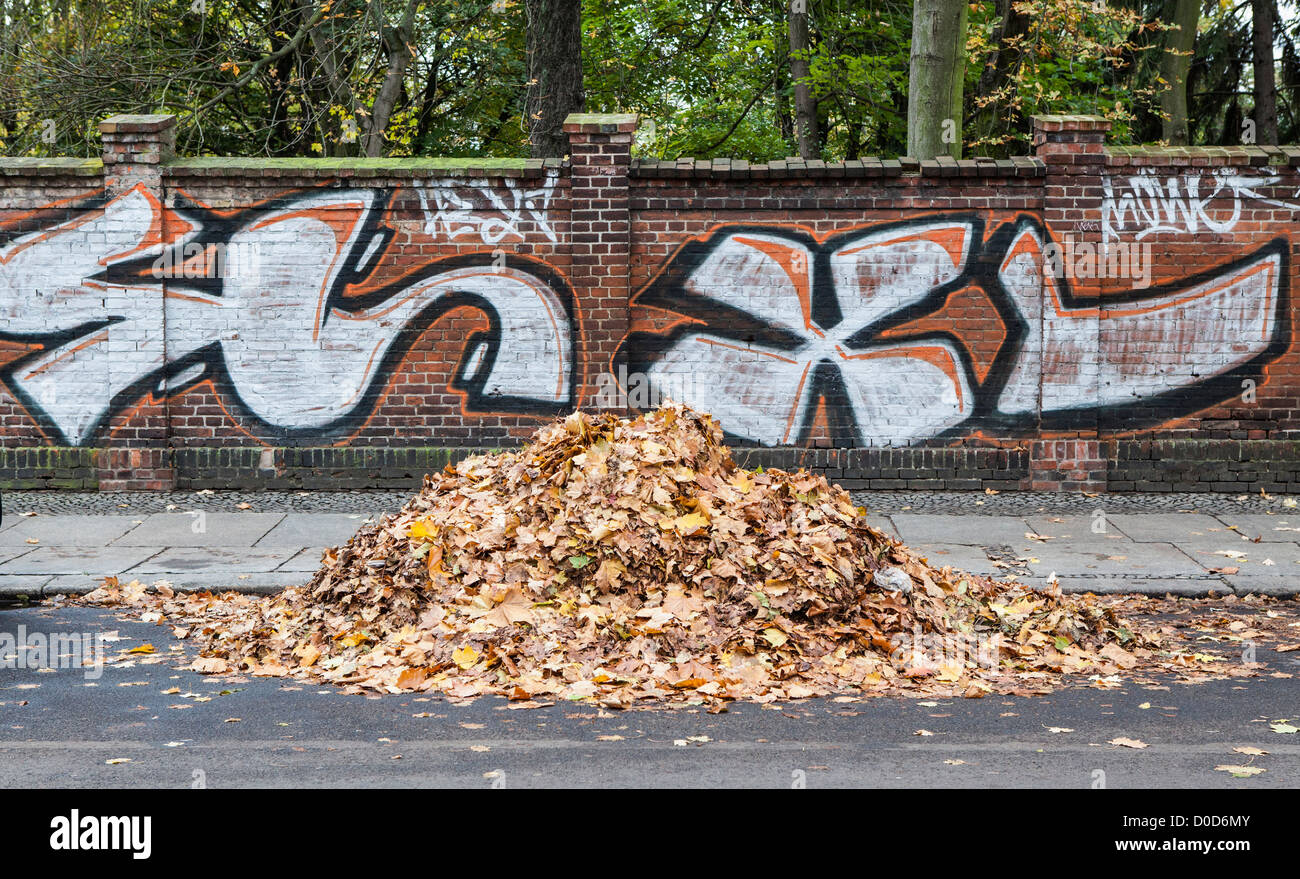 Autumn leaves piled up next to a graffiti-covered wall of the Friedhof ...
