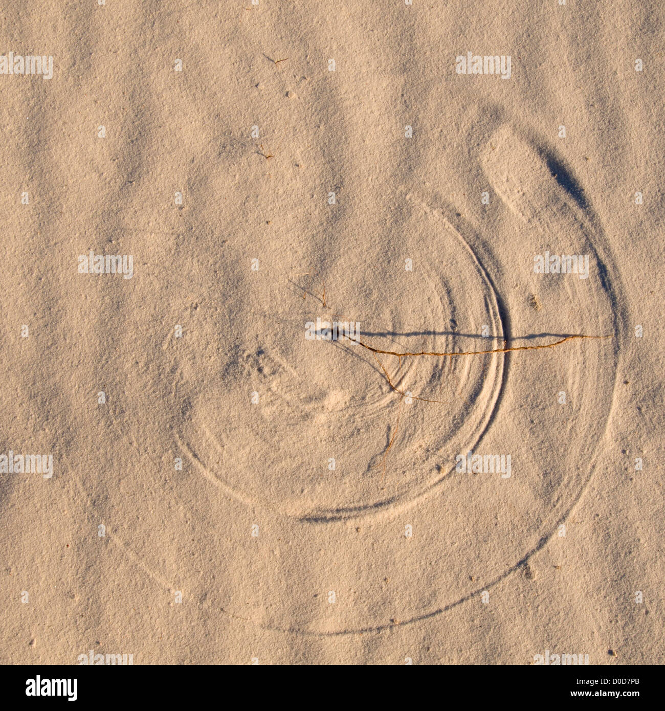 Grass Wind Sand Circle High Resolution Stock Photography and Images - Alamy