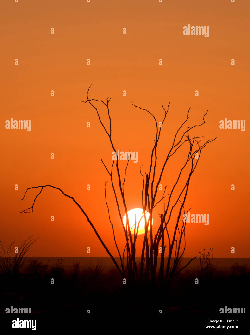 Yuma sunset hi-res stock photography and images - Alamy