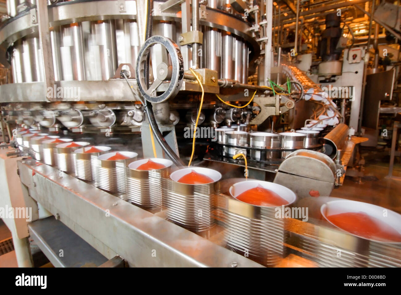 Cans of Tomatoes Speed Through a Tomato Processing Facility Stock Photo ...
