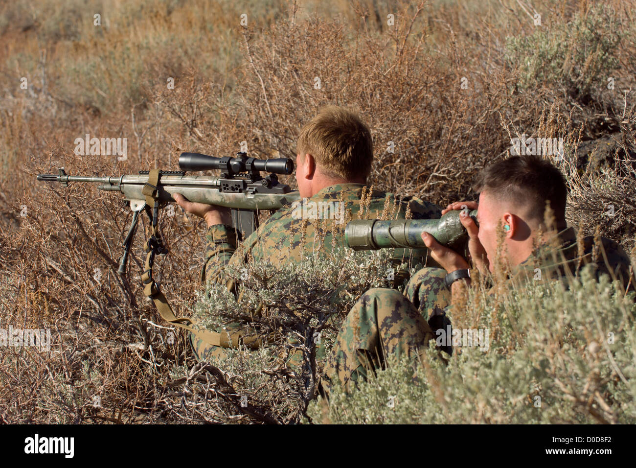 Two U.S. Marines During High Angle Mountain Sniper Training Stock Photo ...