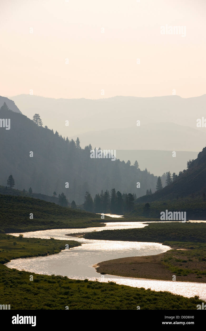 West Walker River Strikes Through California's Pickel Meadow Stock ...