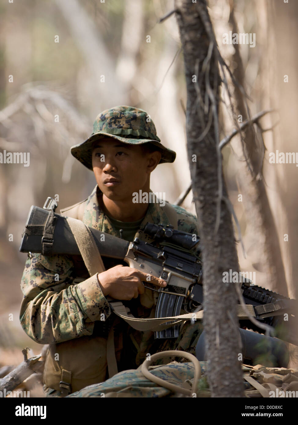 U.S. Marine During Mountain Warfare Training Exercise Stock Photo - Alamy