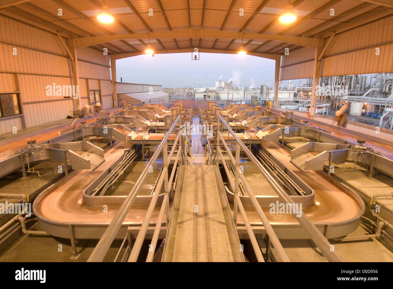 Tomato Processing Flume Stock Photo - Alamy
