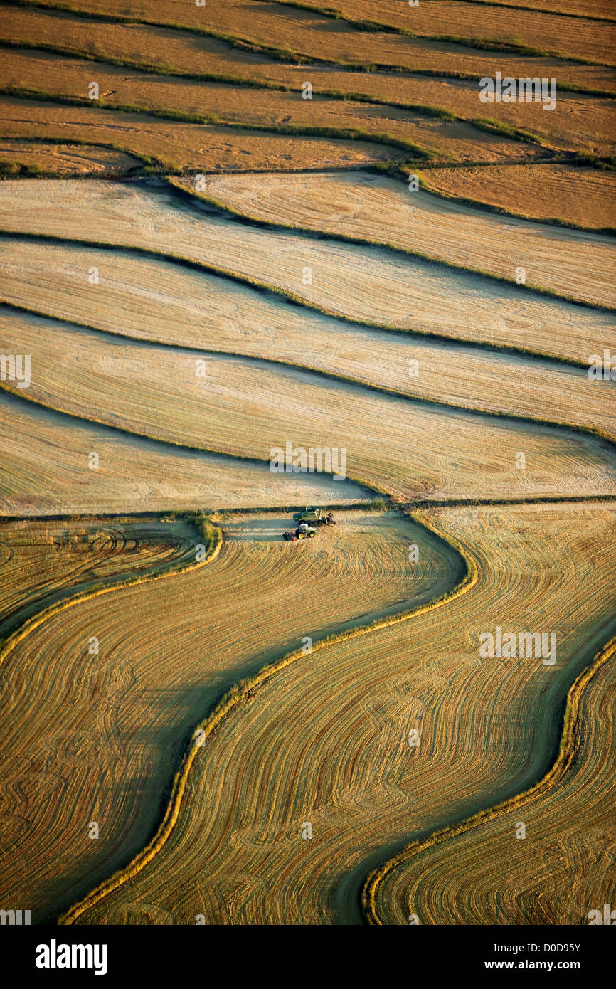 Terraced Rice Fields in Sacramento River Delta Stock Photo - Alamy