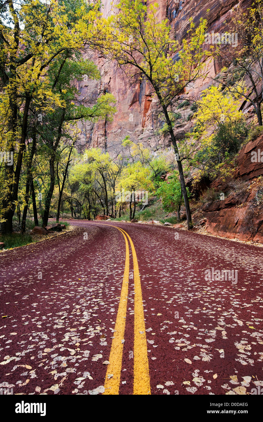 Divided road in fall hi-res stock photography and images - Alamy
